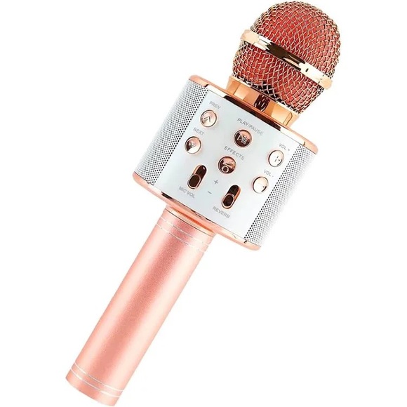iJoy | Other | Ijoy Karaoke Microphone Portable Wireless Karaoke ...